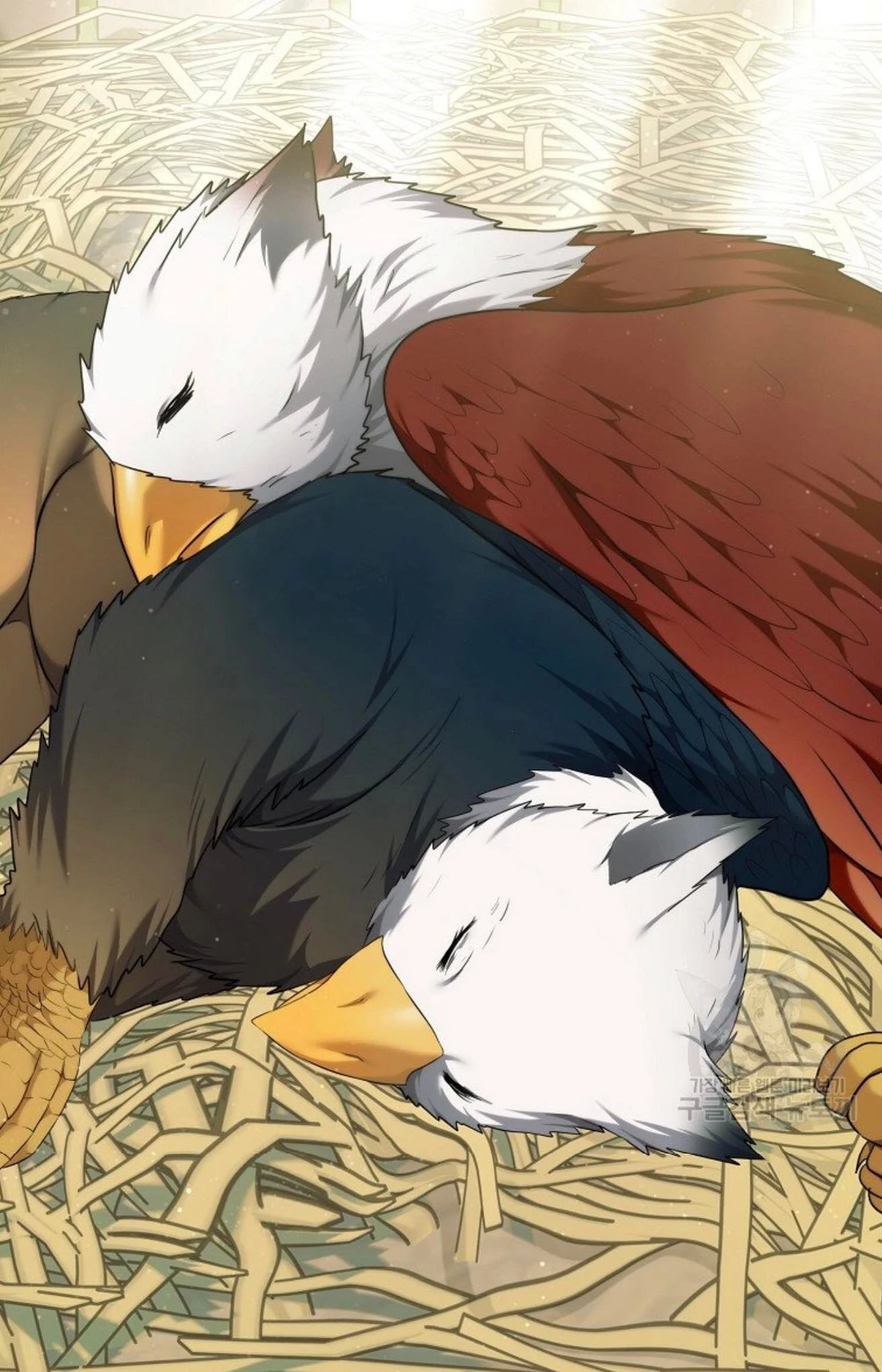 Edora/Abilities | Second Life Ranker Wiki | Fandom