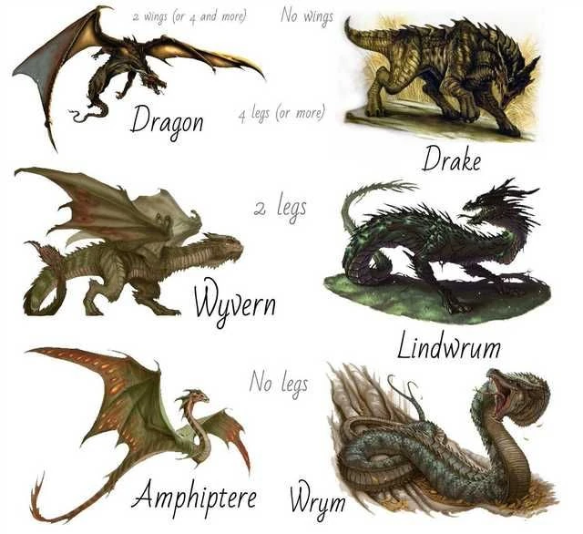 Dragon Sons | Second Life Ranker Wiki | Fandom