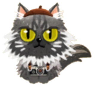 Juno | Secret Cat Forest Wiki | Fandom