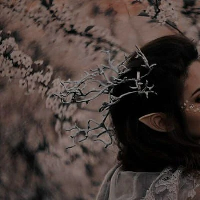 Fae | Secret Seekers Wiki | Fandom