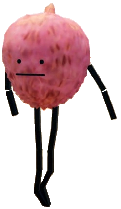 Lychee | Secret Staycation Wiki | Fandom