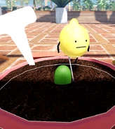 Sina Sina | Secret Staycation Wiki | Fandom