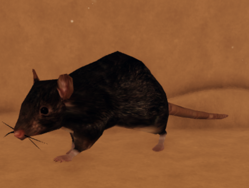Rat Secret Staycation Wiki Fandom