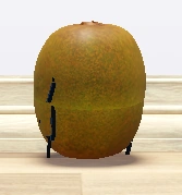 Green Kiwi | Secret Staycation Wiki | Fandom