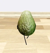 Avocado | Secret Staycation Wiki | Fandom