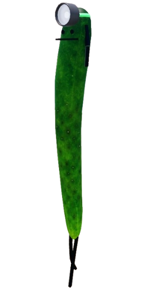 Cucumber | Secret Staycation Wiki | Fandom