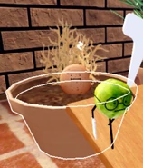 Withered Plant | Secret Staycation Wiki | Fandom