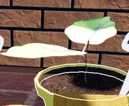 Withered Plant | Secret Staycation Wiki | Fandom