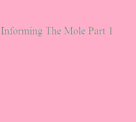 Informing The Mole Part 1 | Secret Team Undercover Wikia | Fandom