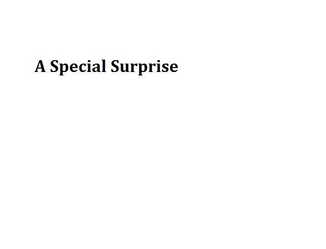 A Special Surprise | Secret Team Undercover Wikia | Fandom