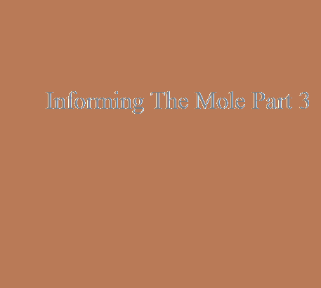 Informing The Mole Part 3 | Secret Team Undercover Wikia | Fandom