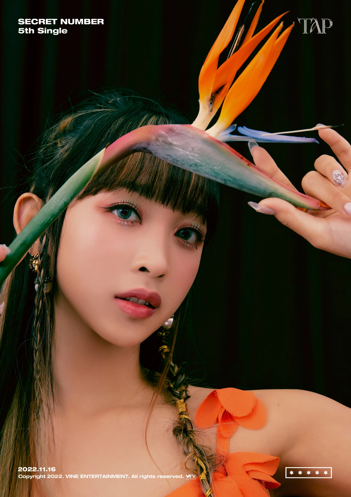 Dita | SECRET NUMBER Wiki | Fandom