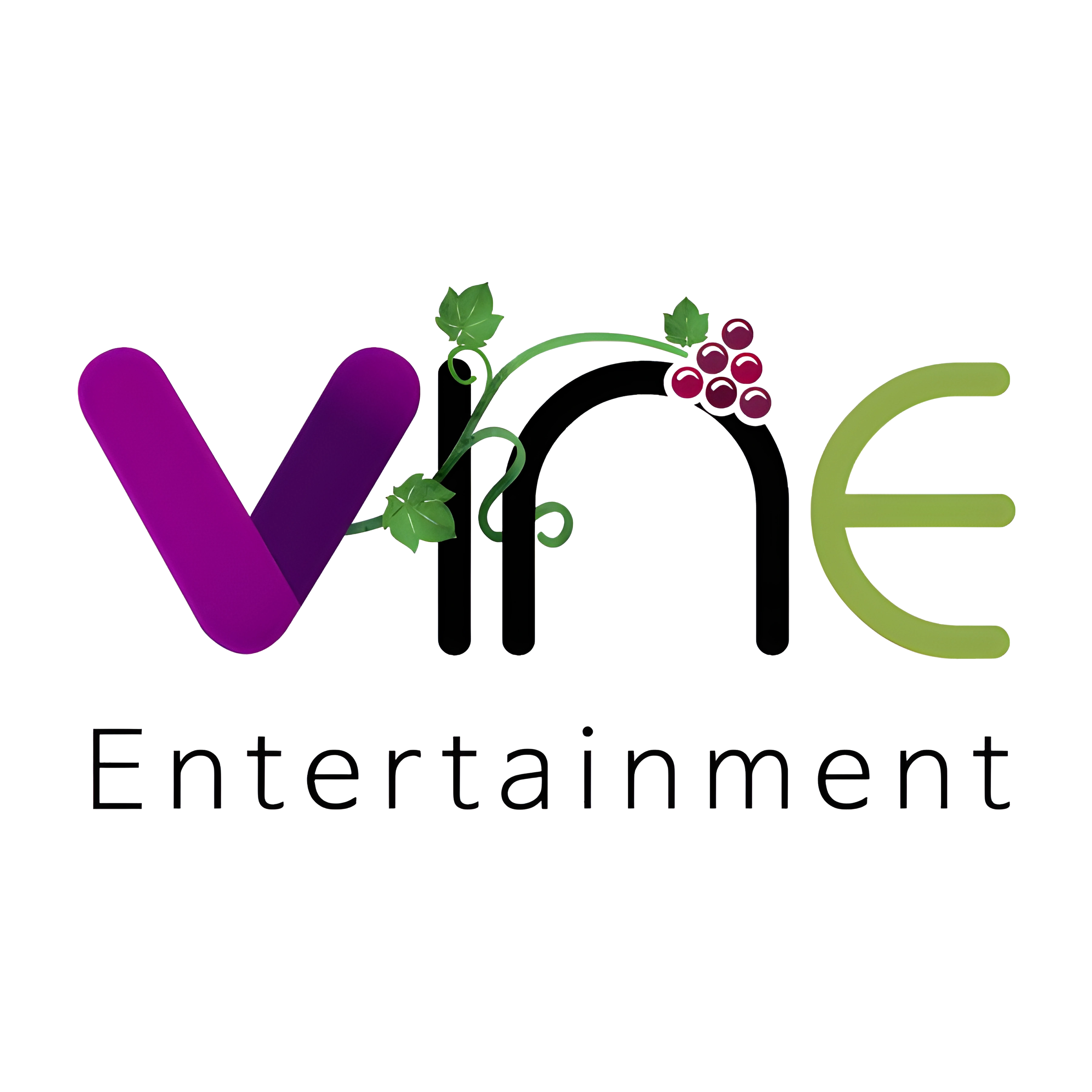 Vine Entertainment | SECRET NUMBER Wiki | Fandom
