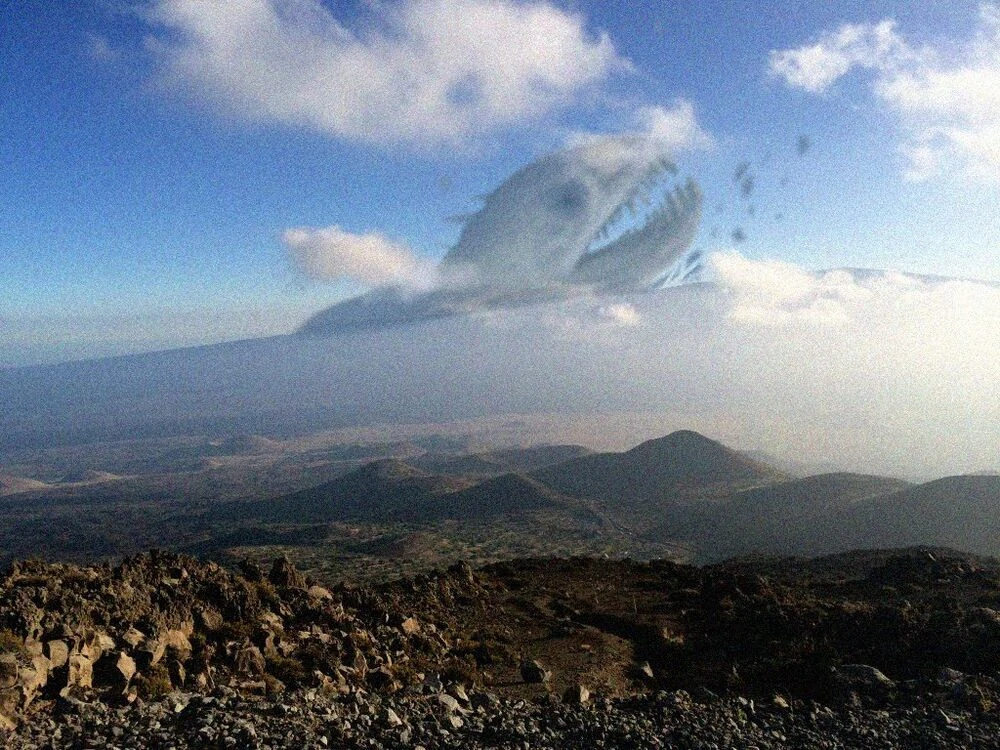 SCP-338 | Wiki Secretaría de Contención y Protección | Fandom