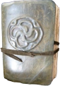 Blake Book of Shadows | The Secret Circle Wiki | Fandom