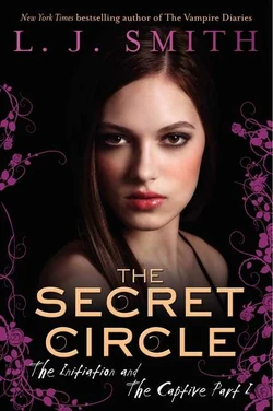 The Secret Circle (novel series) | The Secret Circle Wiki | Fandom