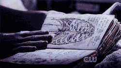 Blake Book of Shadows | The Secret Circle Wiki | Fandom