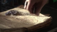 Blake Book of Shadows | The Secret Circle Wiki | Fandom
