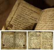 Blake Book of Shadows | The Secret Circle Wiki | Fandom
