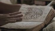 Blake Book of Shadows | The Secret Circle Wiki | Fandom