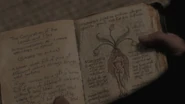 Blake Book of Shadows | The Secret Circle Wiki | Fandom
