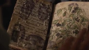 Blake Book of Shadows | The Secret Circle Wiki | Fandom