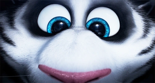 Hu/Gallery | The Secret Life of Pets Wiki | Fandom