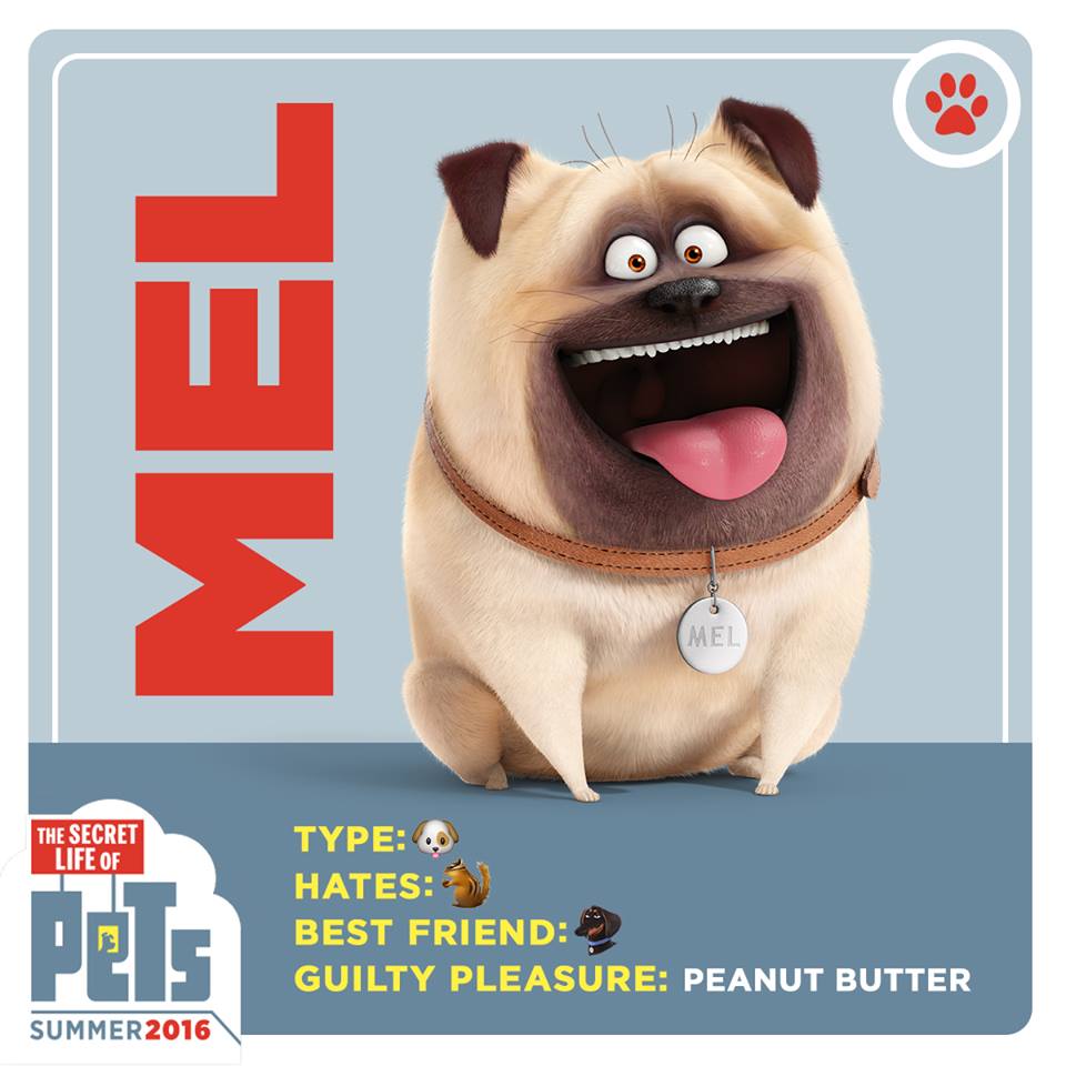 Mel/Gallery | The Secret Life of Pets Wiki | Fandom