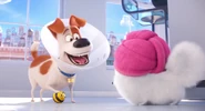 Busy Bee/Gallery | The Secret Life of Pets Wiki | Fandom