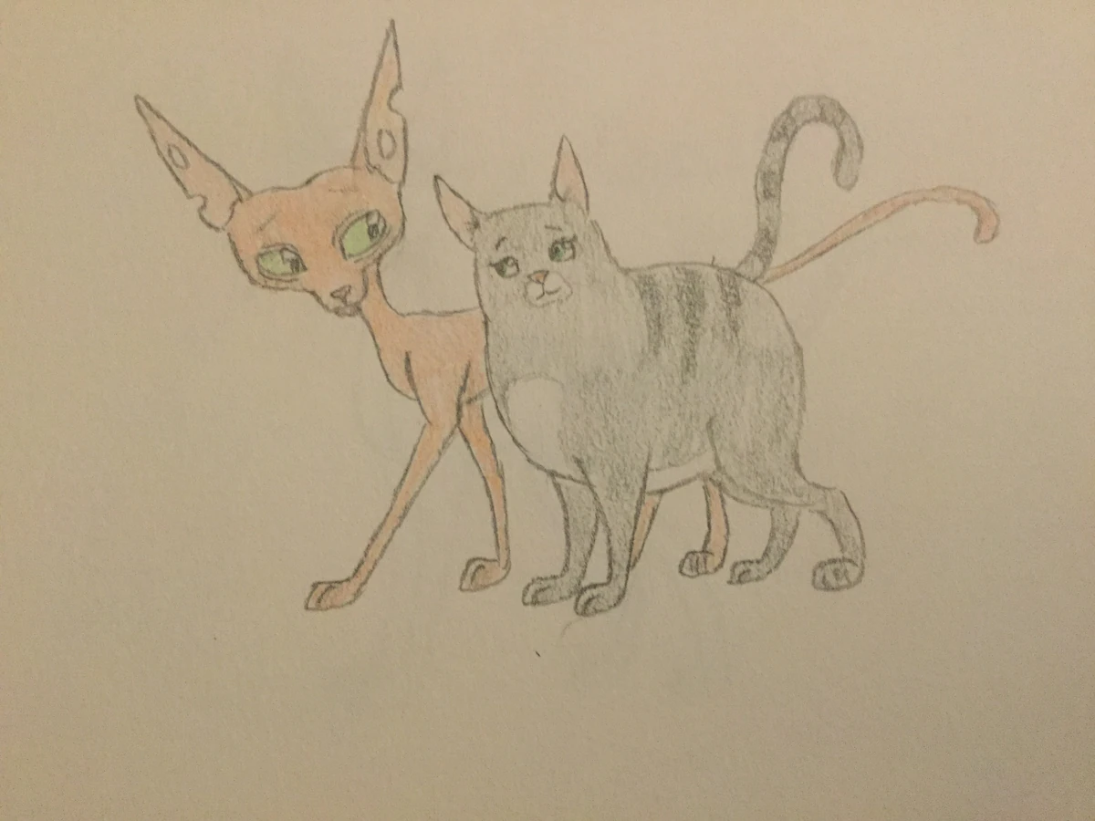 User blog:Storm5wolf/Artwork of February 2019 | The Secret Life of Pets ...
