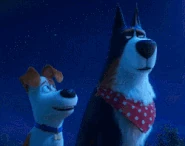 Rooster/Gallery | The Secret Life of Pets Wiki | Fandom