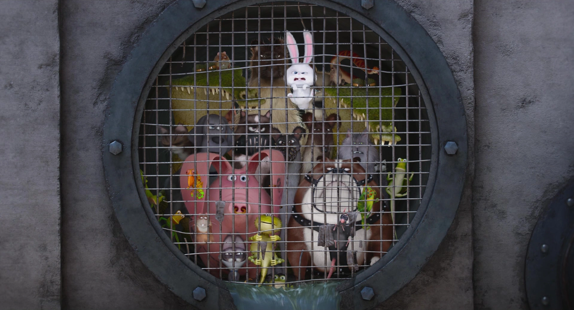 The Flushed Pets | The Secret Life of Pets Wiki | Fandom