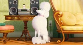 Leonard | The Secret Life of Pets Wiki | Fandom