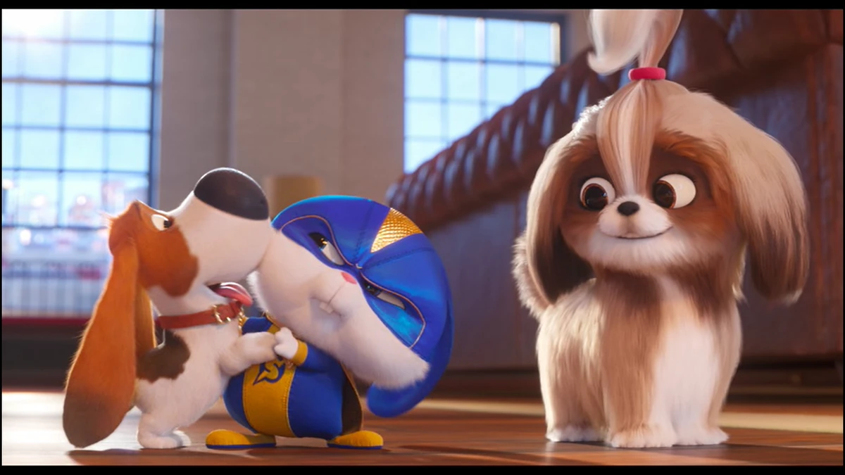 Tiny/Gallery | The Secret Life of Pets Wiki | Fandom