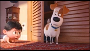Liam/Gallery | The Secret Life of Pets Wiki | Fandom