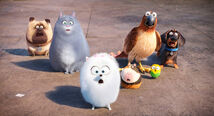 Tiberius/Gallery | The Secret Life of Pets Wiki | Fandom