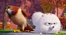 Tiberius/Gallery | The Secret Life of Pets Wiki | Fandom