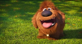 Duke | The Secret Life of Pets Wiki | Fandom