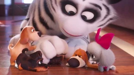 Hu/Gallery | The Secret Life of Pets Wiki | Fandom