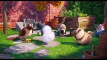 Tiberius/Gallery | The Secret Life of Pets Wiki | Fandom