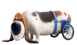 Pops | The Secret Life of Pets Wiki | Fandom