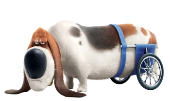 Pops | The Secret Life of Pets Wiki | Fandom