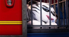 Hu/Gallery | The Secret Life of Pets Wiki | Fandom