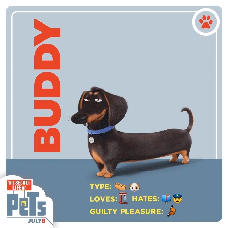 Buddy/Gallery | The Secret Life of Pets Wiki | Fandom