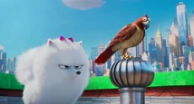 Tiberius/Gallery | The Secret Life of Pets Wiki | Fandom