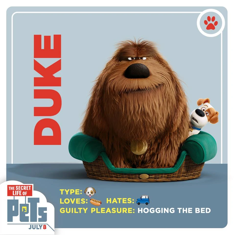 Duke/Gallery | The Secret Life of Pets Wiki | Fandom