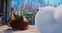 Tiberius/Gallery | The Secret Life of Pets Wiki | Fandom