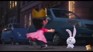 Molly/Gallery | The Secret Life of Pets Wiki | Fandom