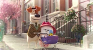 Busy Bee/Gallery | The Secret Life of Pets Wiki | Fandom