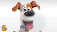 Max | The Secret Life of Pets Wiki | Fandom